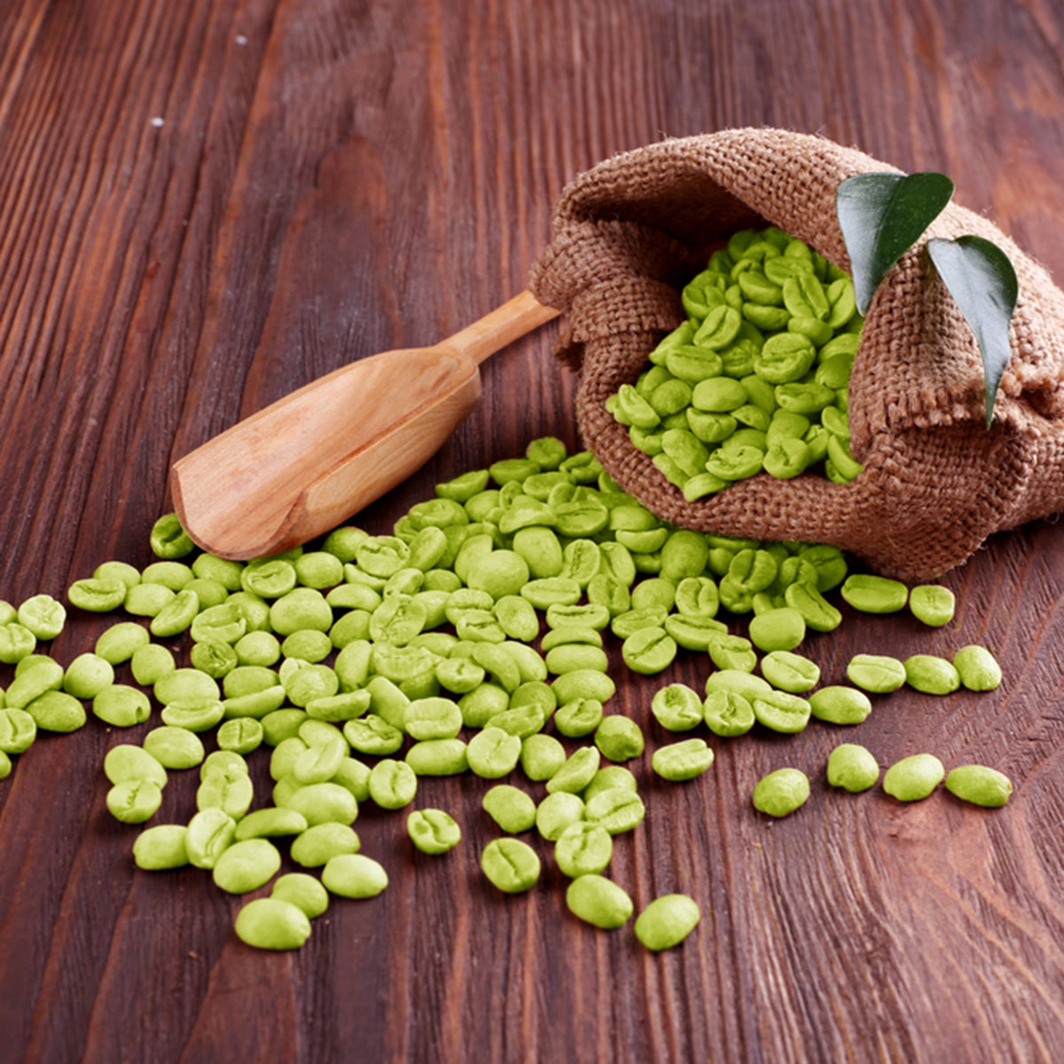 Why AFFOREST choose Green Coffee?