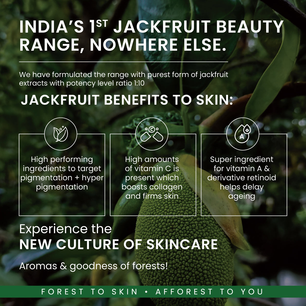 Jackfruit Foaming Face Wash – AFFOREST